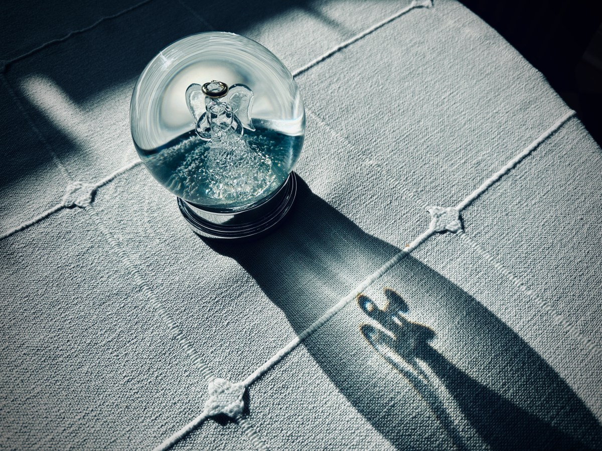 The Privileged Life: Standing Before a Holy God – Nancy C. Williams